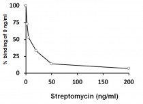 Streptomycin ELISA Kit-ARG80814